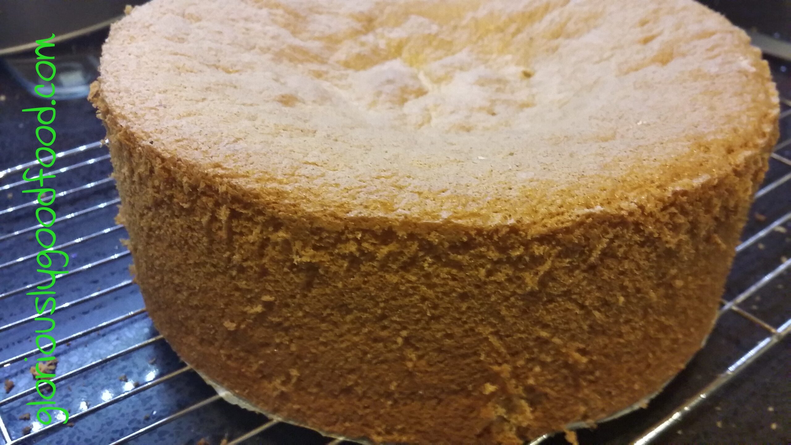 Fat Free Sponge | Three Ingredient Sponge | Reflux Recipes - Gloriously ...